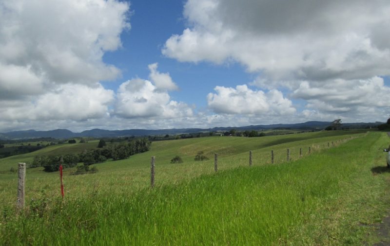 I Actually Loved My Aussie Farm Work Experience - Wake Up!